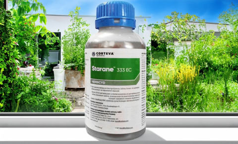 Starane 333 EC 1000ml Środek Chwastobójczy Na Chwasty Dwuliścienne ...